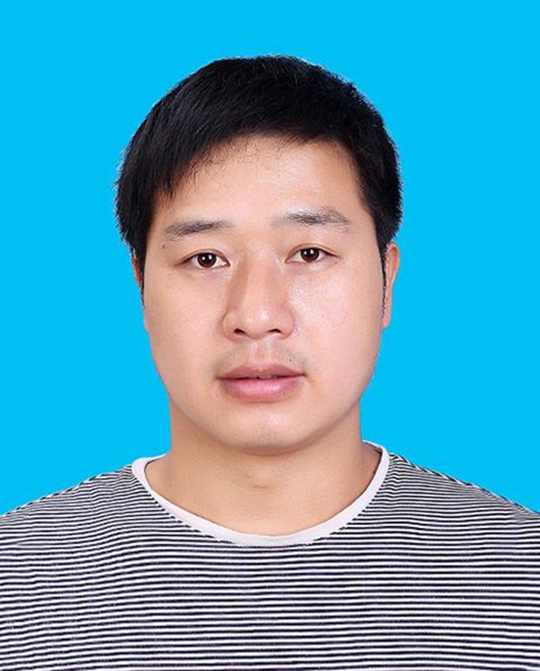 版纳园子站群